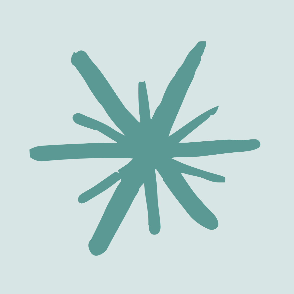 About – The Happy Shell